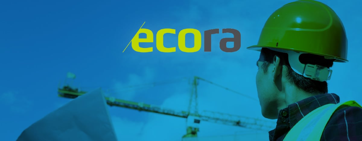 Ecora Engineering Case Study - Vivo Team Development