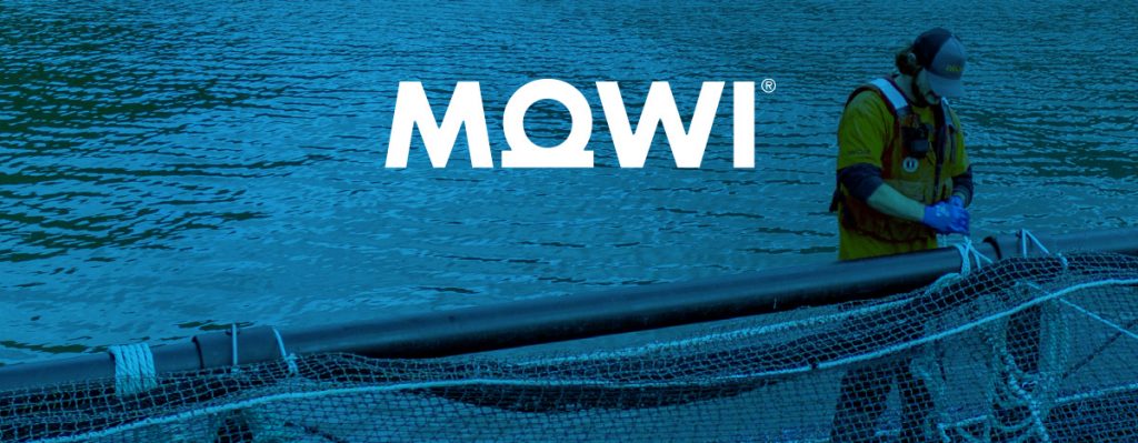Mowi Canada West Case Study - Vivo Team Development