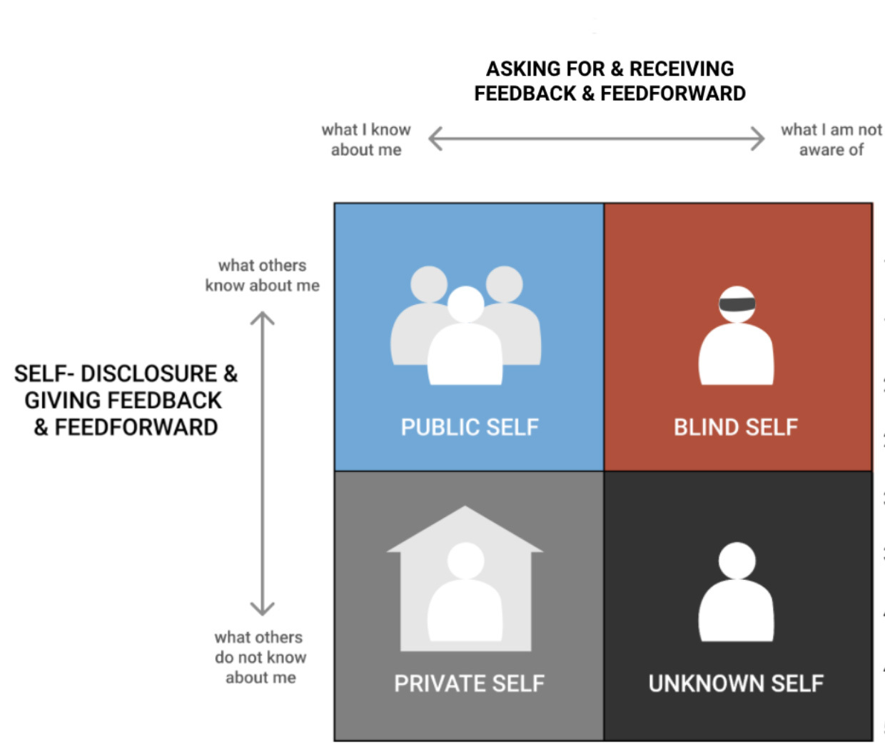 Feedback Fuels Change Resilience - Vivo Team Development
